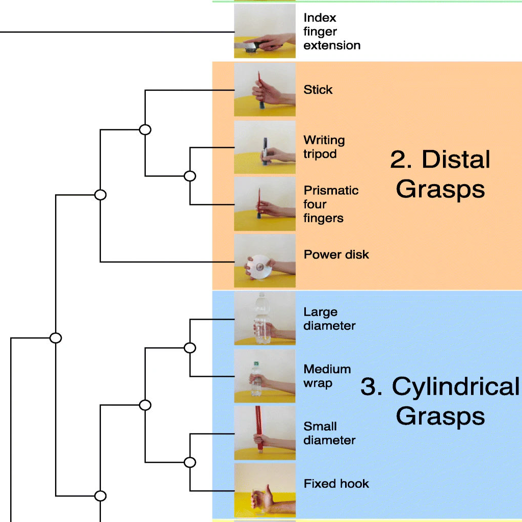 A quantitative taxonomy of human hand grasps | Stefano Michieletto